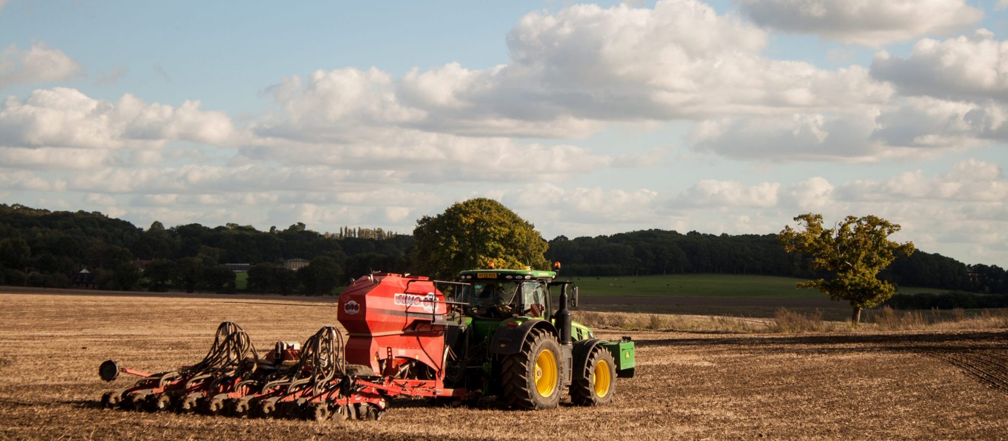 BerkshireFarmGirl – Follow Eleanor Gilbert on her journey educating the ...